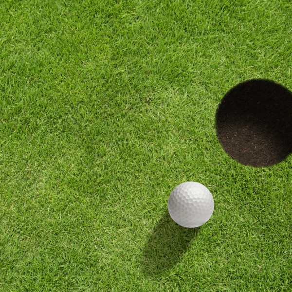 Liquid 6 | All-Natural Humate Blend - Deep To the Roots